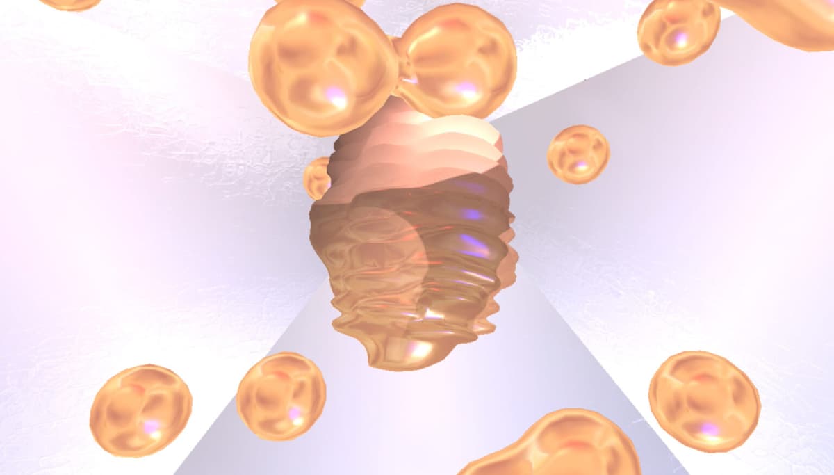 Josh Weaver - Marketing Executive